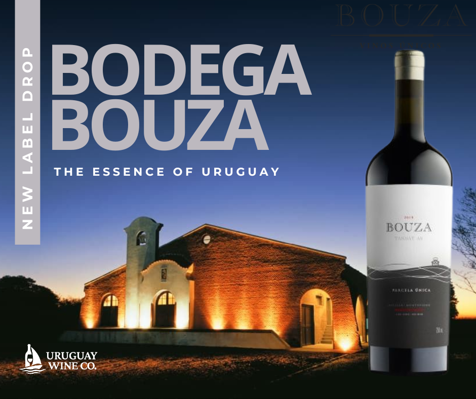 Bodega Bouza at Uruguay Wine Company - Uruguayan Excellence